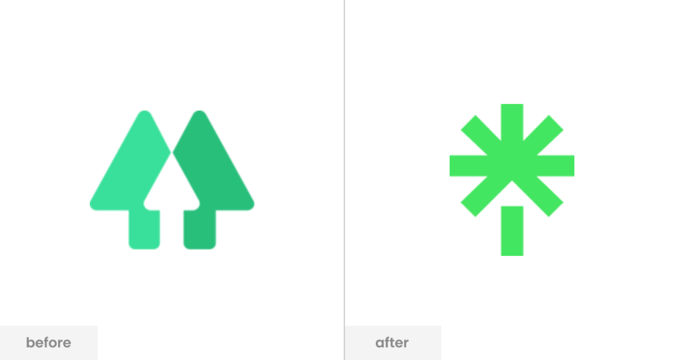Linktree rebrands to reflect company growth